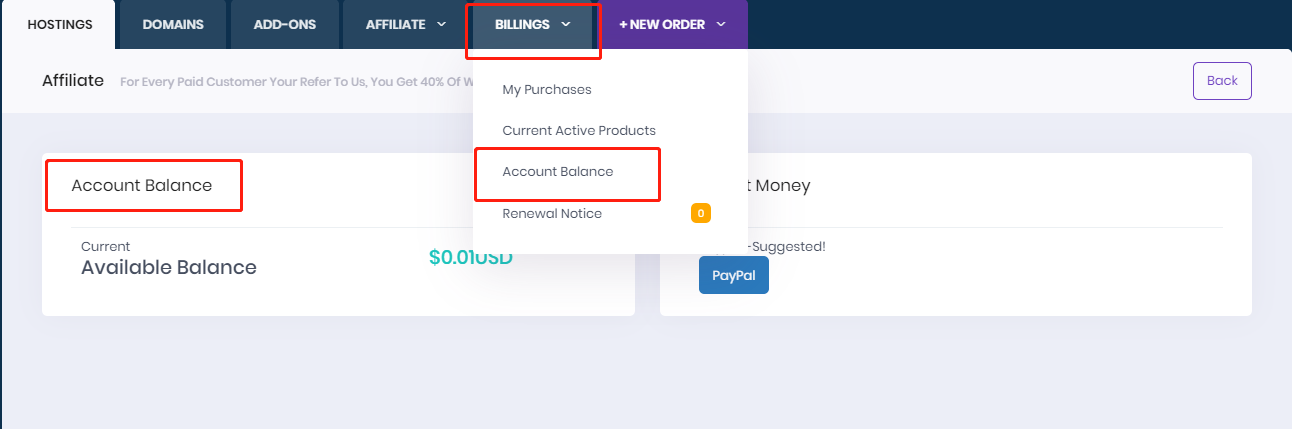 How to check the account balance? - myASP.NET