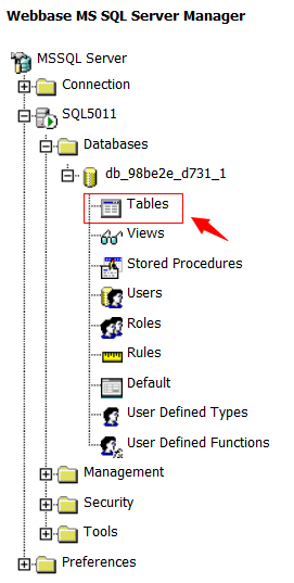 How Can I Edit Or Delete Records From Mssql Database With Webbase Ms Sql Server Manager