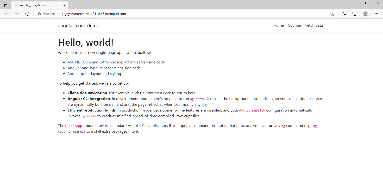How to publish ASP.NET Core with Angular to our server