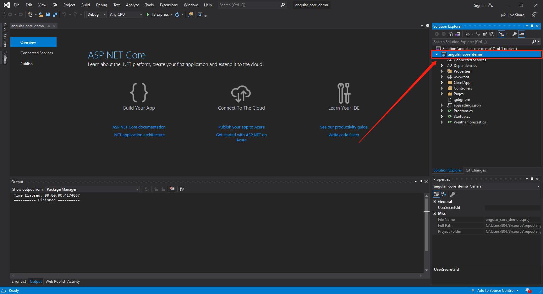 How To Publish Aspnet Core With Angular To Our Server