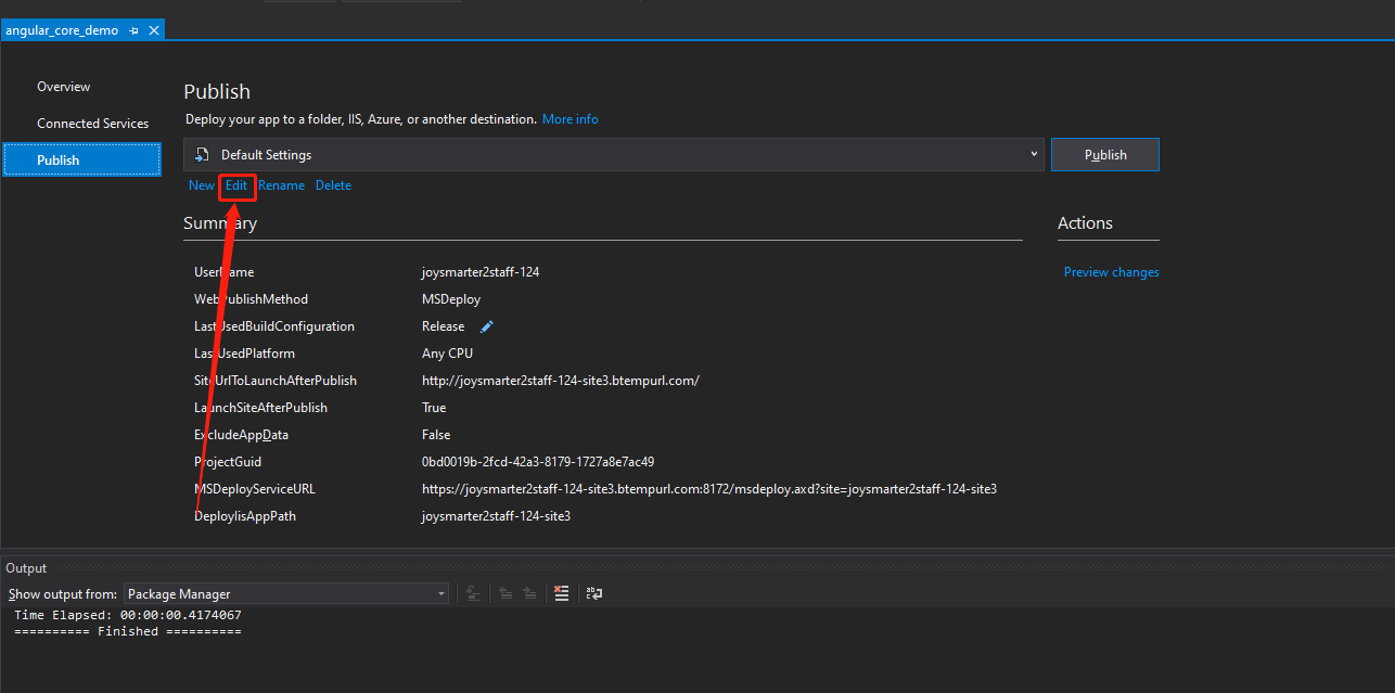 How to publish ASP.NET Core with Angular to our server